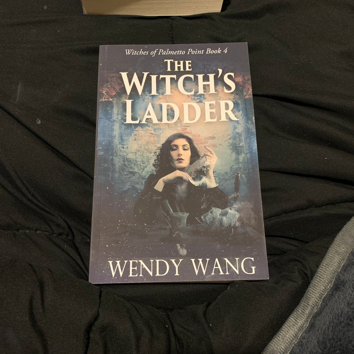 The Witches Ladder by Wendy Wang