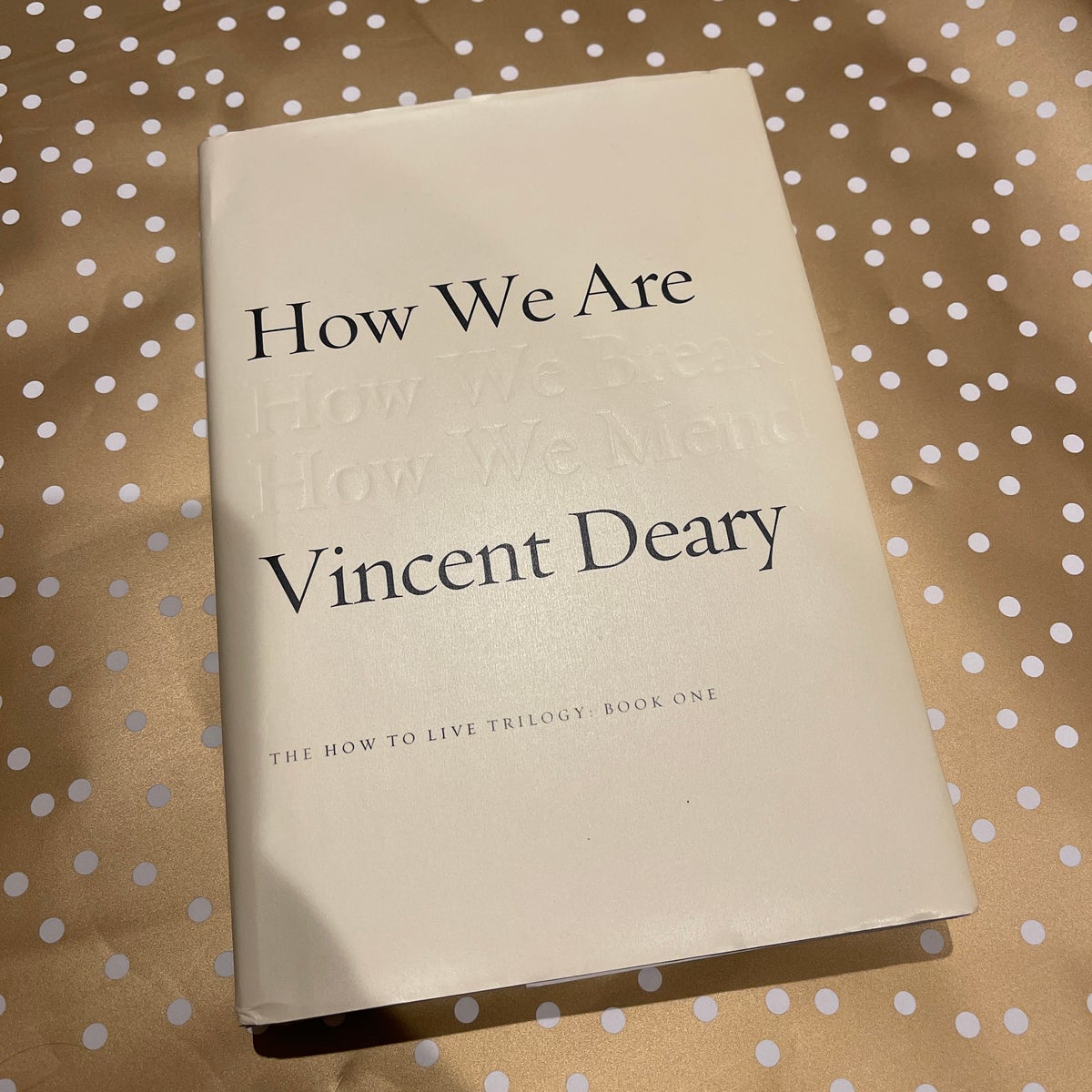 How We Are by Vincent Deary
