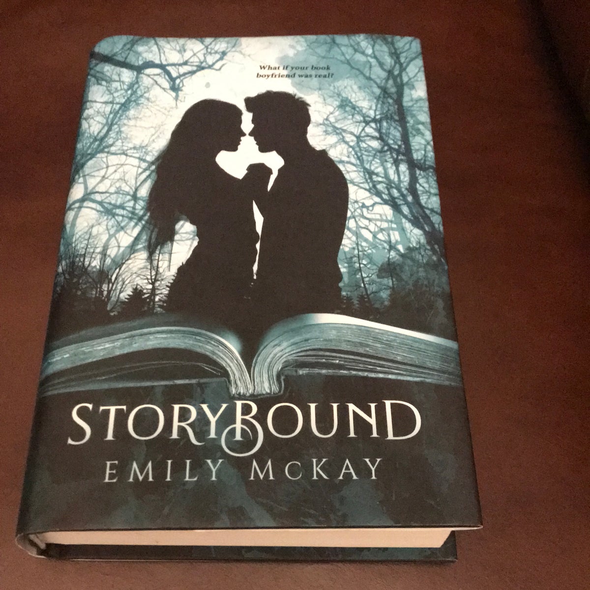 Storybound by Emily McKay