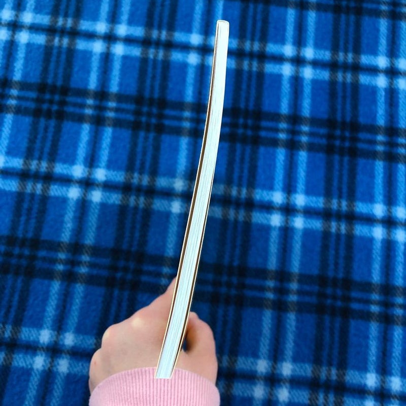 Surprises: 38 Poems about Almost Everything! by Lee Bennett Hopkins