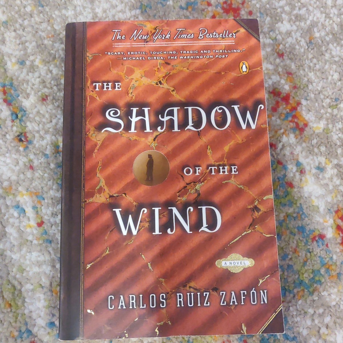 The Shadow of the Wind