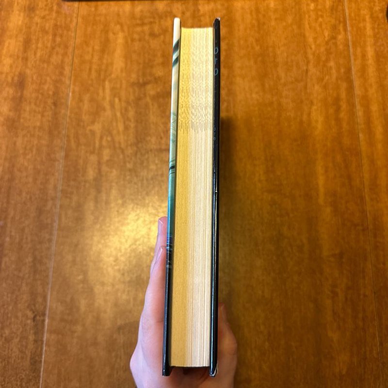 The Limit by Kristen Landon, Hardcover | Pangobooks