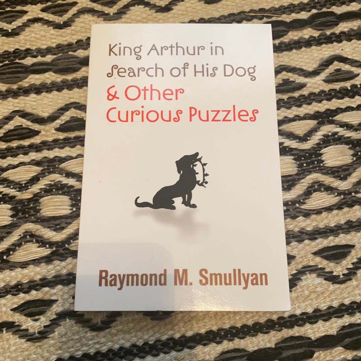 King Arthur in Search of His Dog and Other Curious Puzzles by Raymond ...