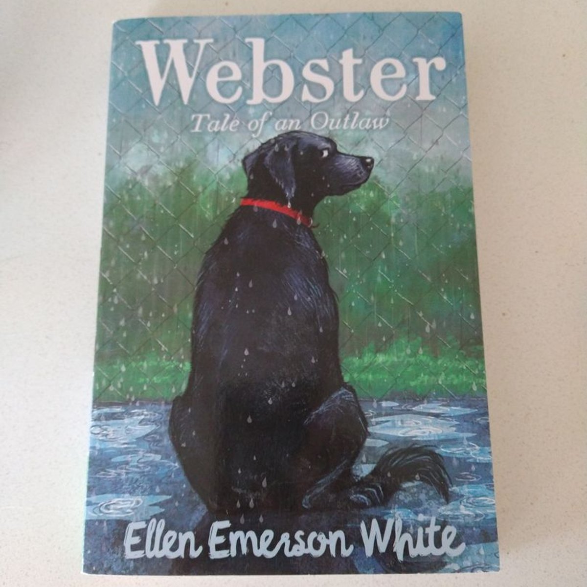 Webster by Ellen Emerson White