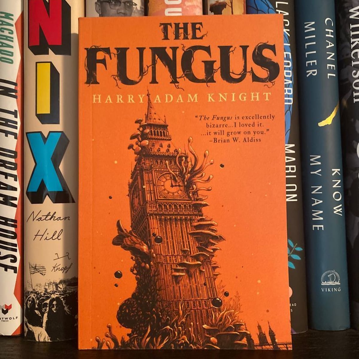 The Fungus by Harry Adam Knight, Leroy Kettle, John Brosnan