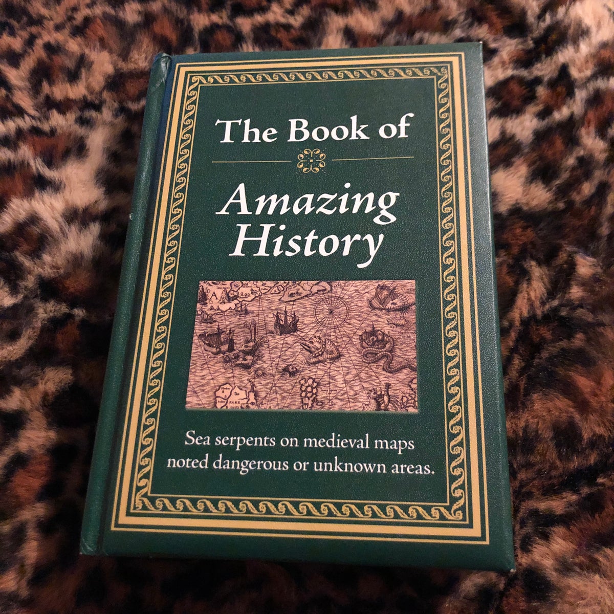 The Book of Amazing History by Publications International Ltd. Staff ...