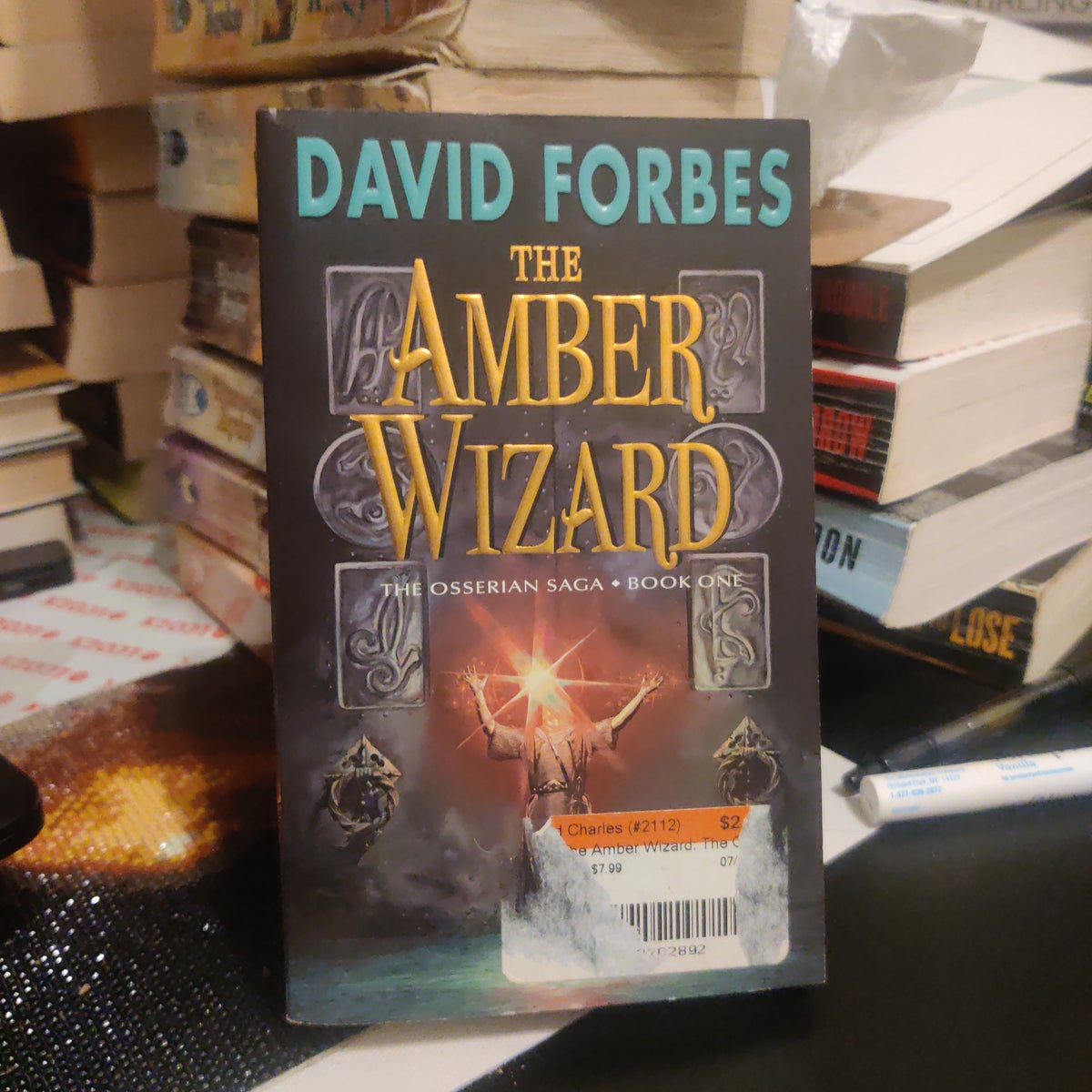 The Amber Wizard by David Forbes