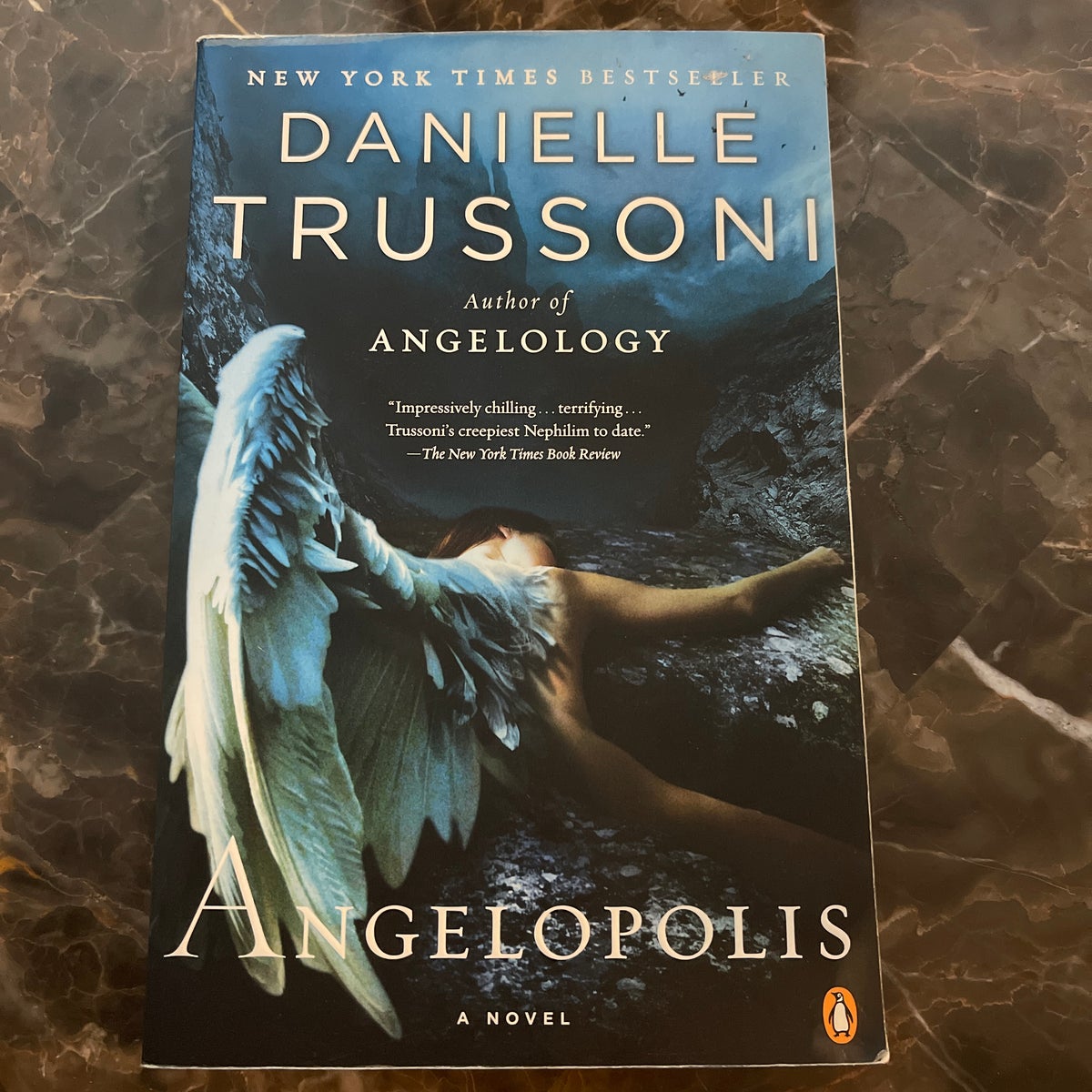Angelopolis by Danielle Trussoni, Paperback | Pangobooks