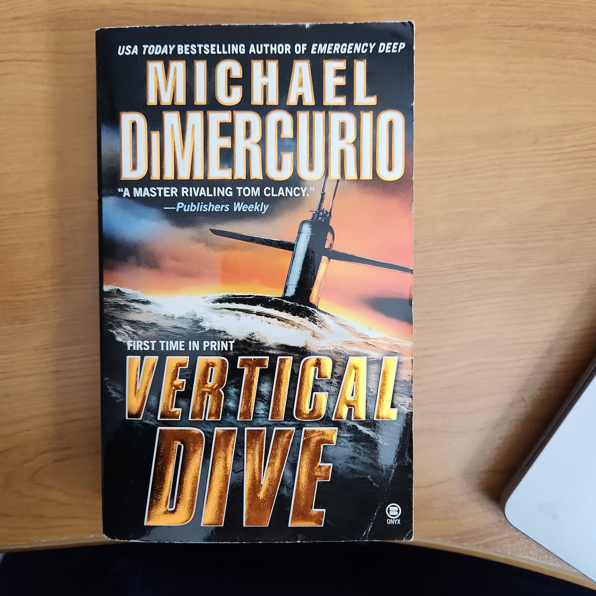 Vertical Dive by Michael DiMercurio