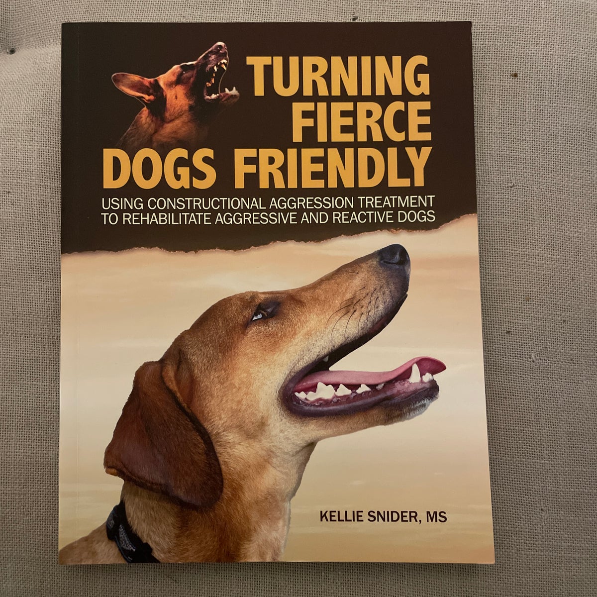 Turning Fierce Dogs Friendly by Kellie Snider