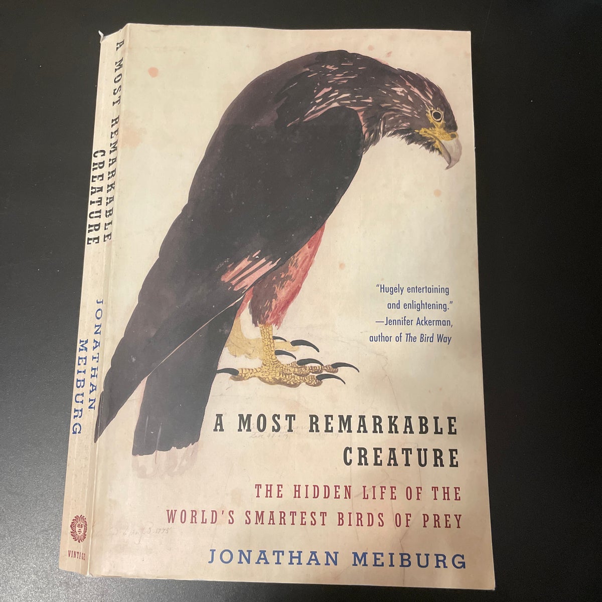 A Most Remarkable Creature