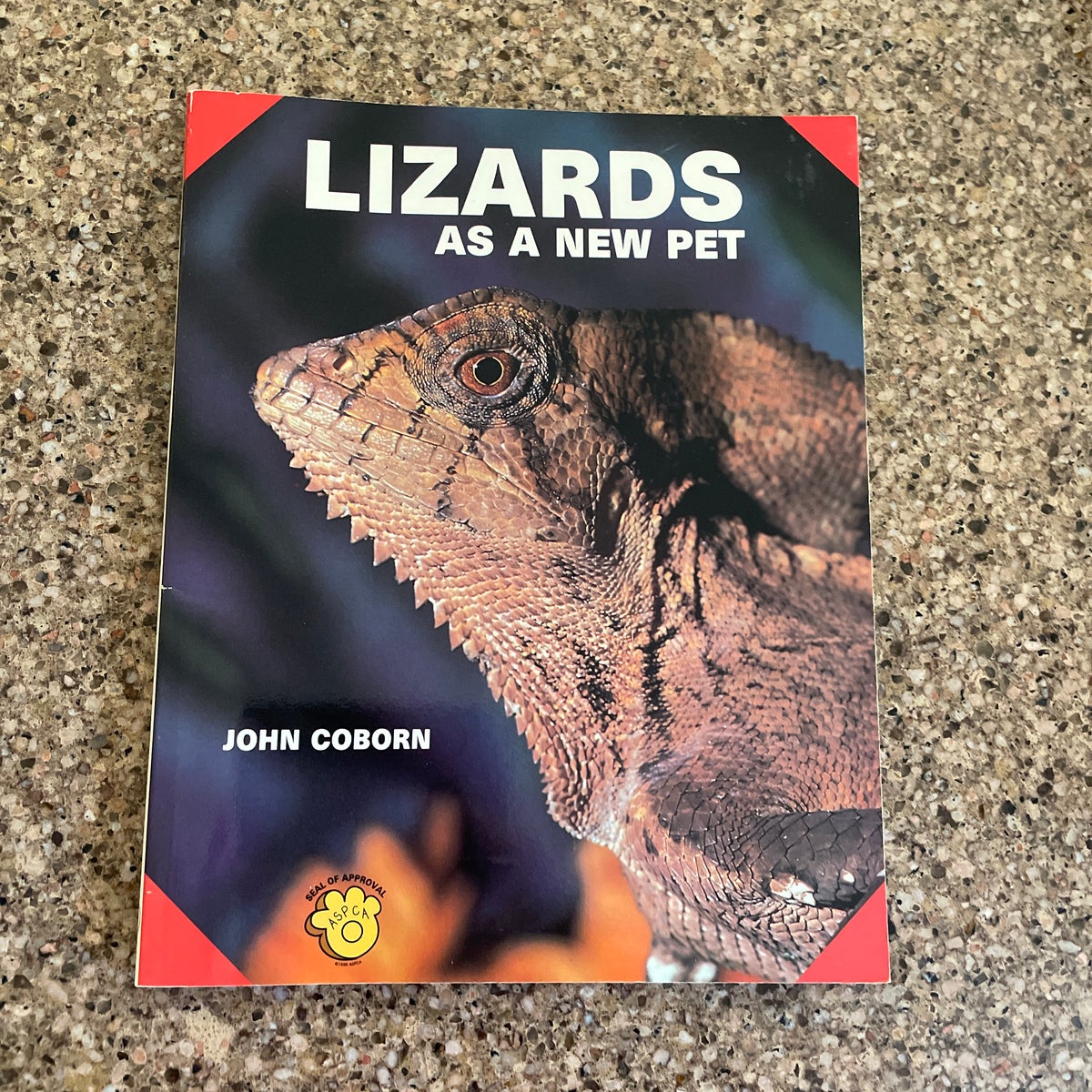 Lizards As a New Pet by John Coborn