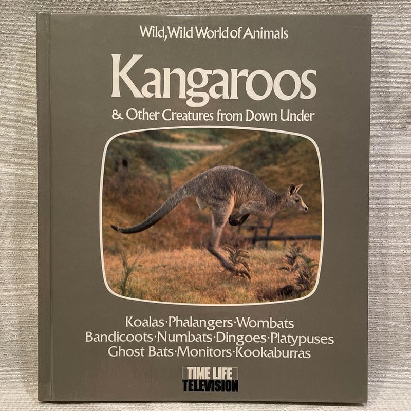 Kangaroos and Other Creatures from down Under