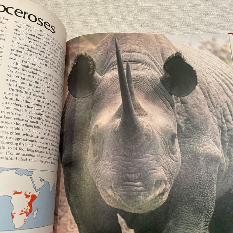 Elephants and Other Land Giants by Time-Life Television Staff