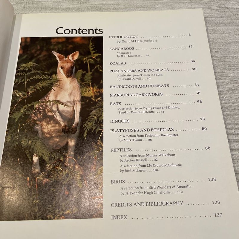 Kangaroos and Other Creatures from down Under