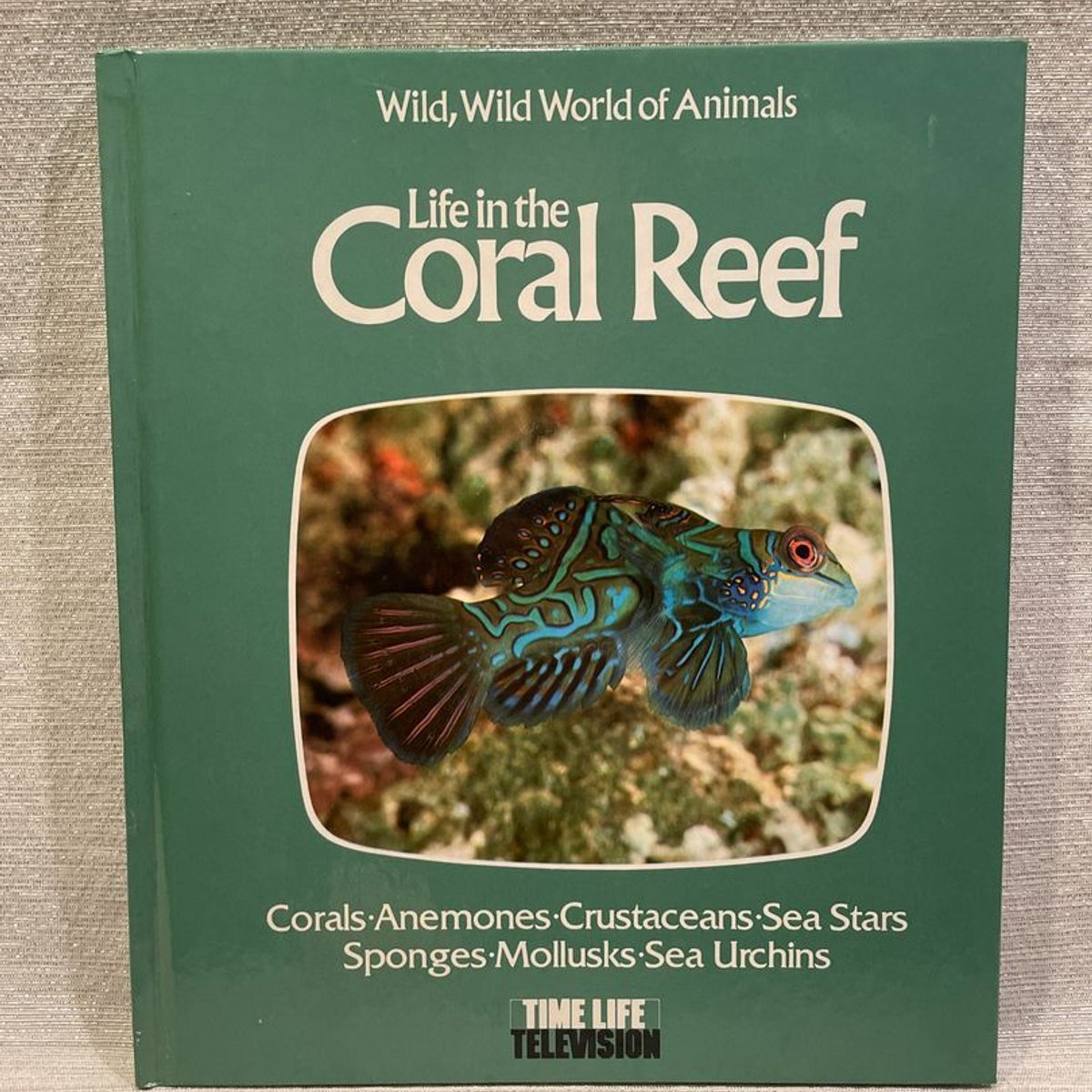 Life in the Coral Reef by Time-Life Books Editors