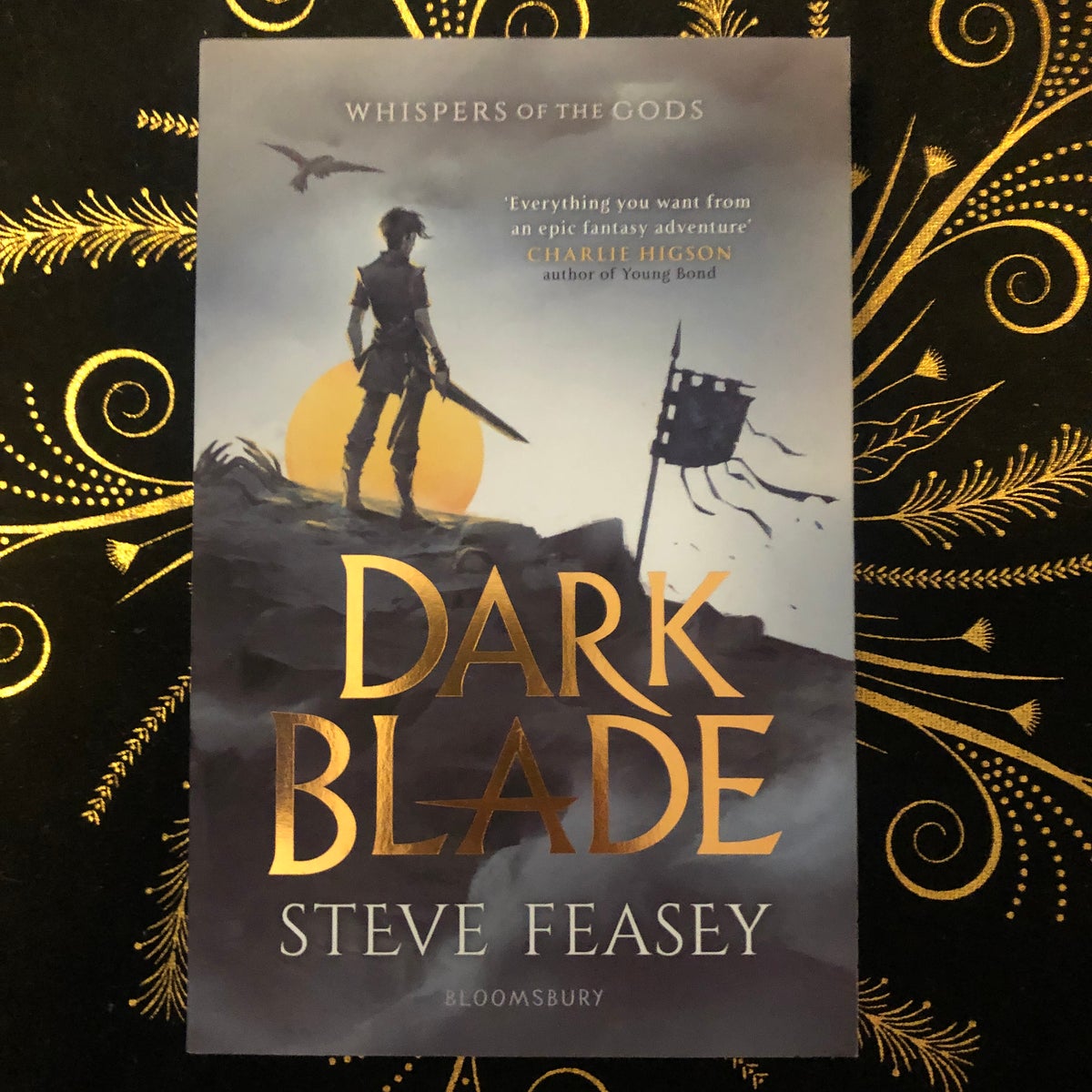 Dark Blade by Steve Feasey