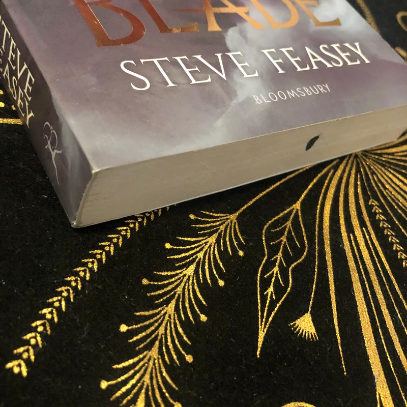 Dark Blade by Steve Feasey