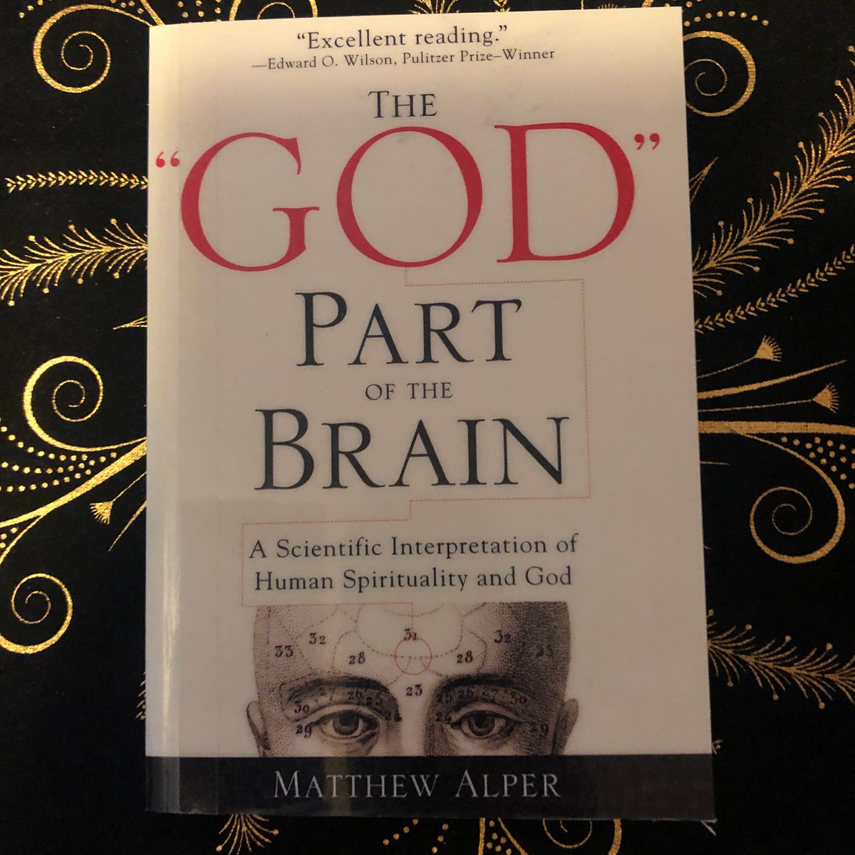 God Part of the Brain by Matthew Alper, Paperback | Pangobooks