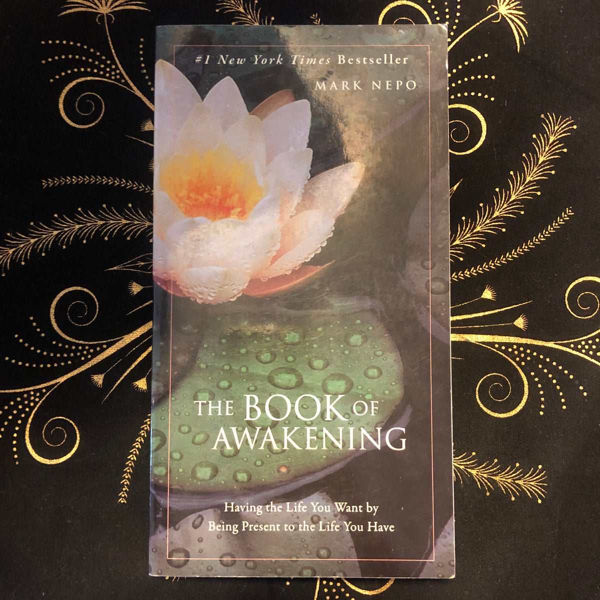 The Book of Awakening by Mark Nepo, Paperback | Pangobooks