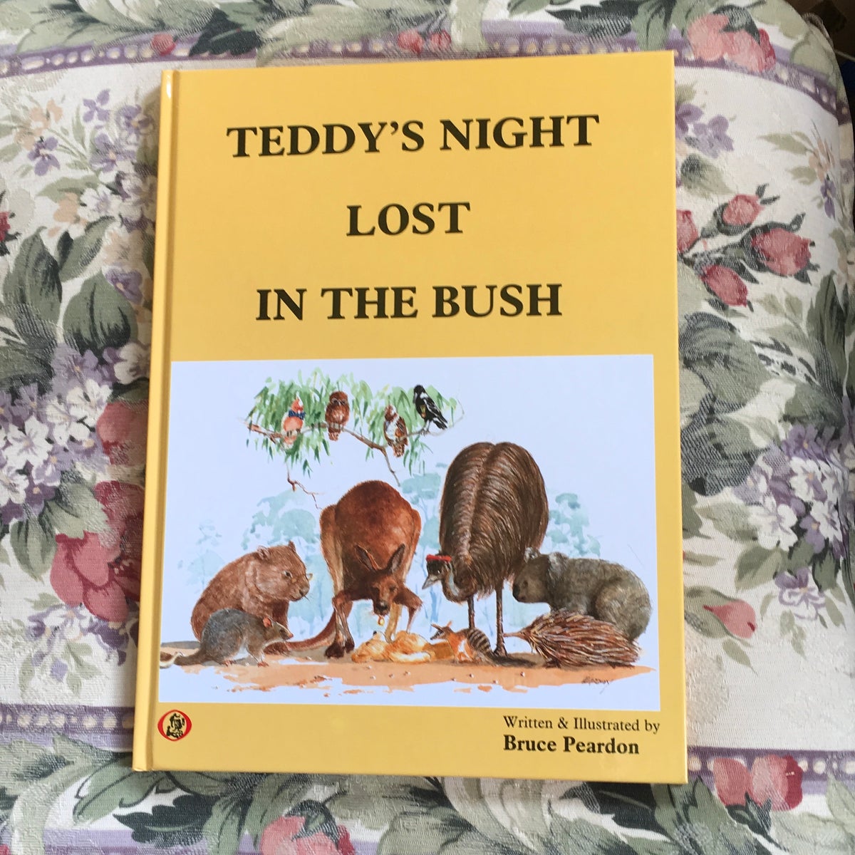 Teddy's Night Lost in the Bush by Bruce Peardon