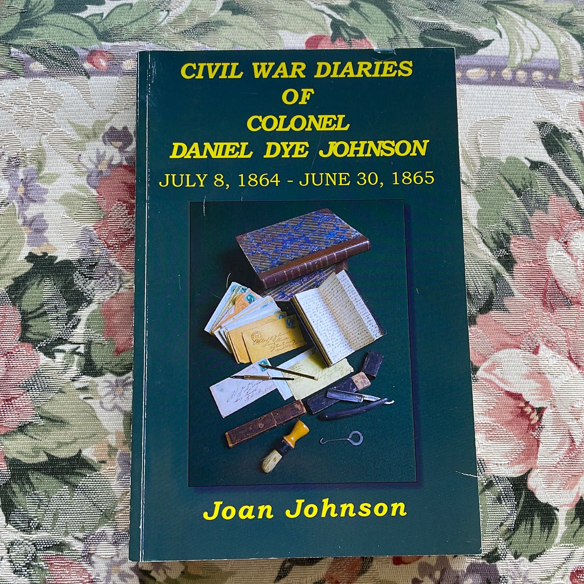 Civil War Diaries of Daniel Dye Johnson by Joan Johnson