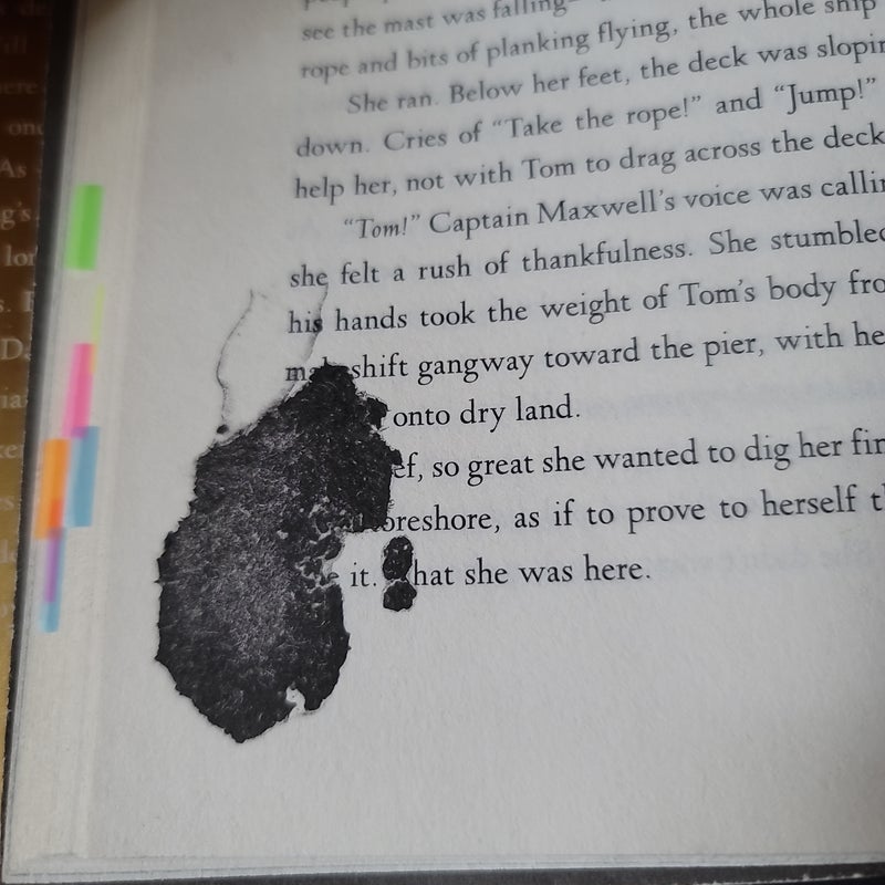 Dark Rise by C. S. Pacat, Hardcover | Pangobooks