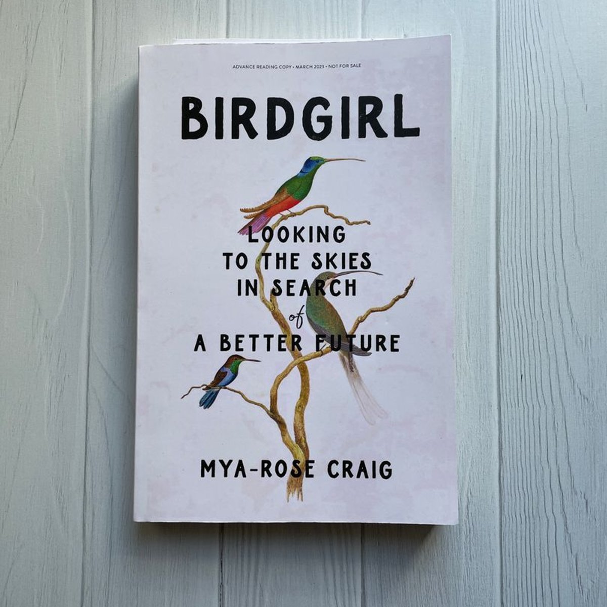 Birdgirl by Mya-Rose Craig