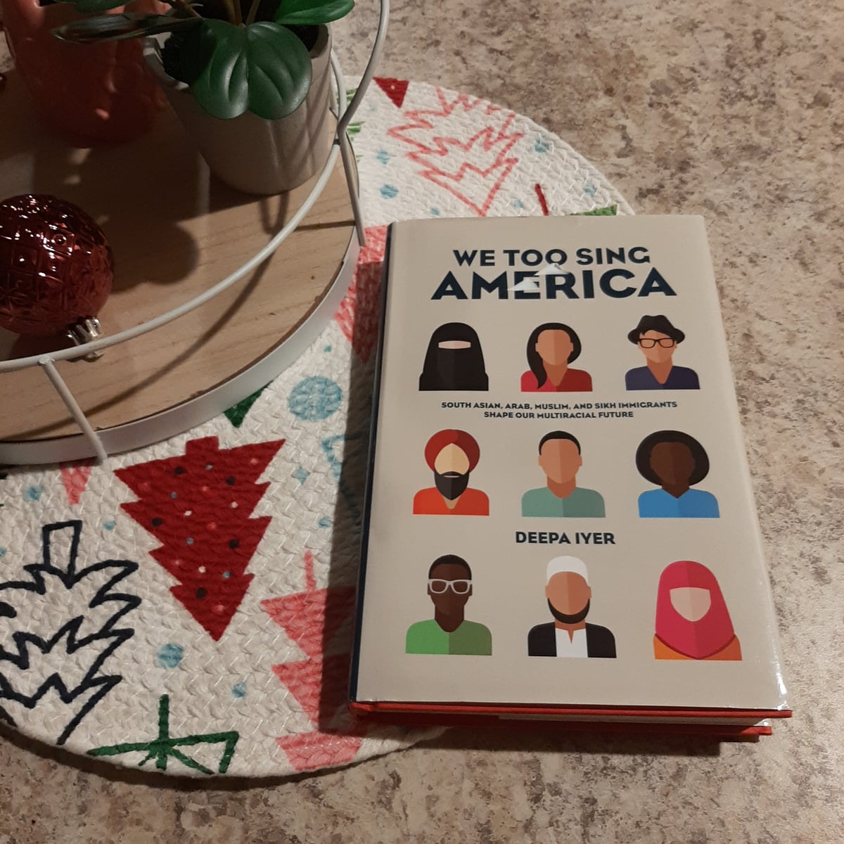 We Too Sing America by Deepa Iyer