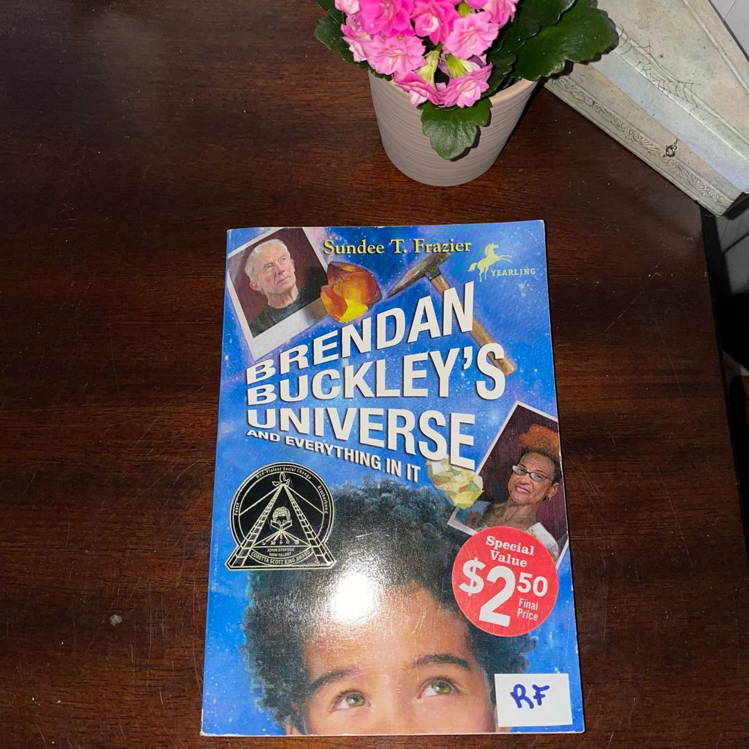 Brendan Buckley's Universe and Everything in It by Sundee T. Frazier