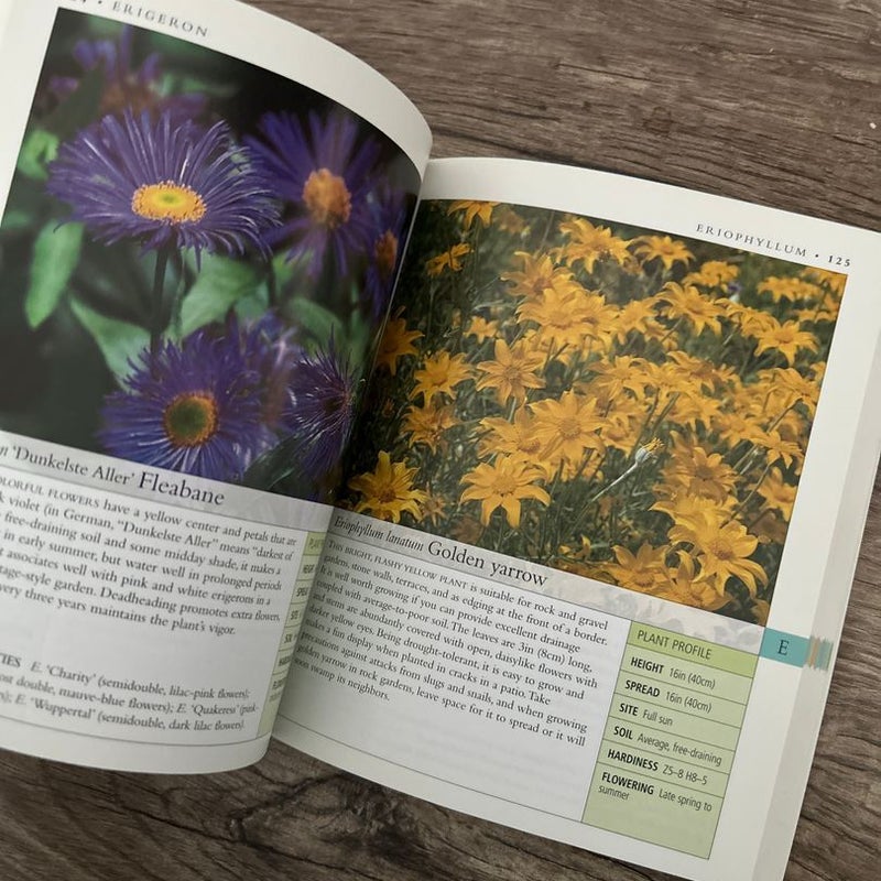 Garden Guides - Perennials by Richard Rosenfeld