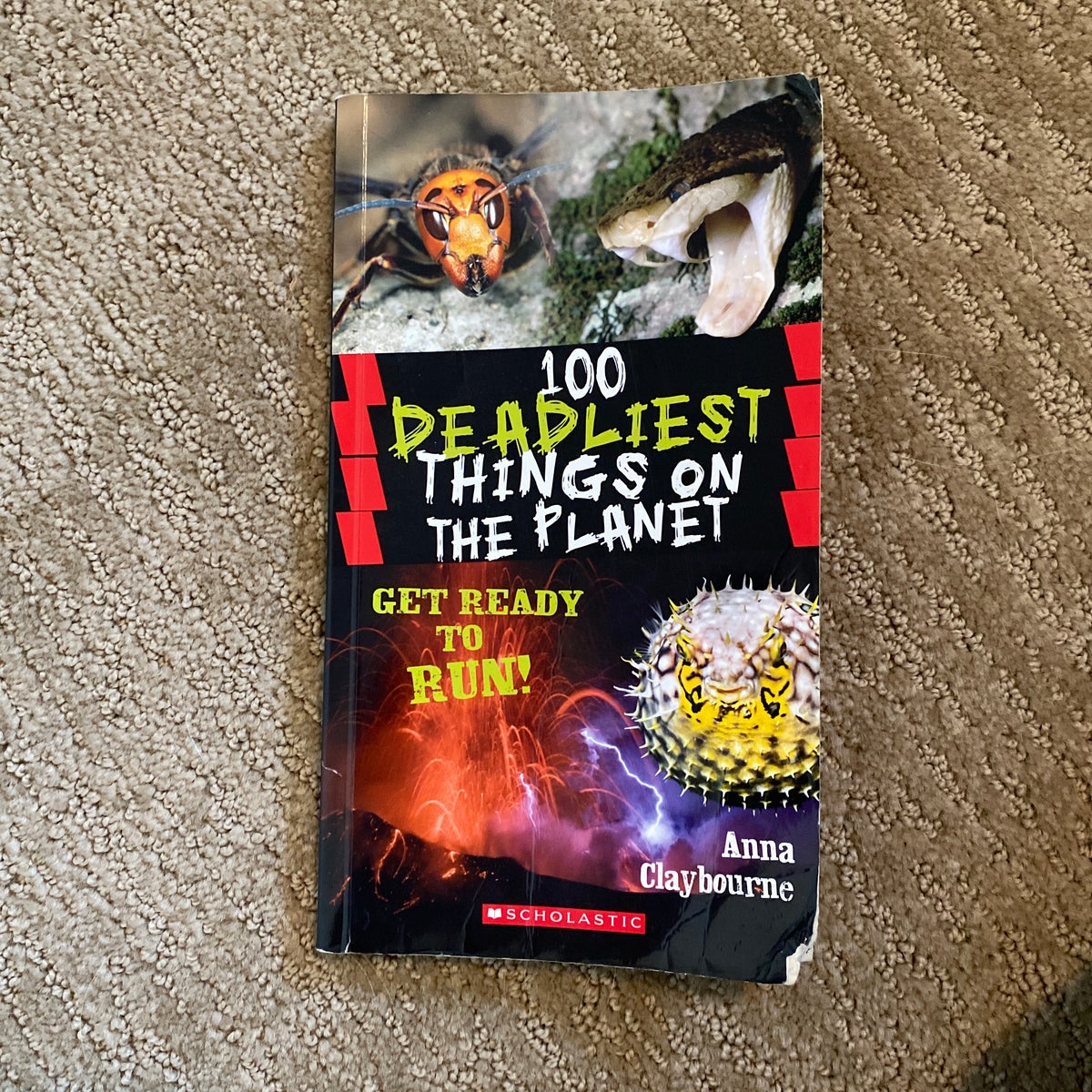 100 Deadliest Things on the Planet