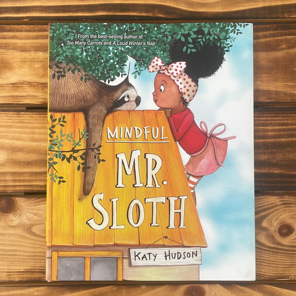 Mindful Mr. Sloth by Katy Hudson