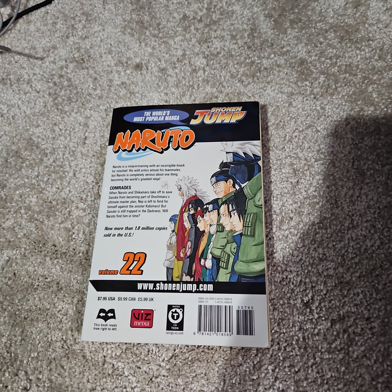 Naruto, Vol. 22