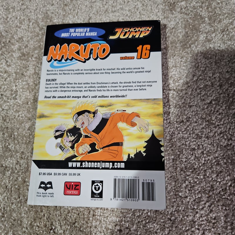 Naruto, Vol. 16