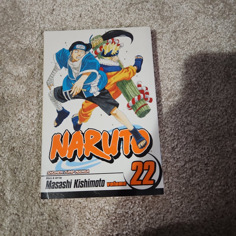 Naruto, Vol. 22