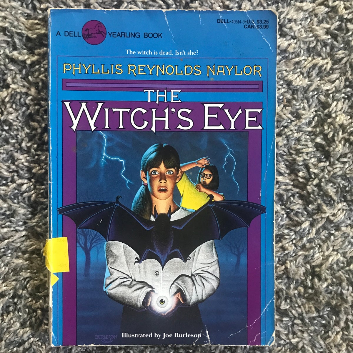 The Witch's Eye by Phyllis Reynolds Naylor