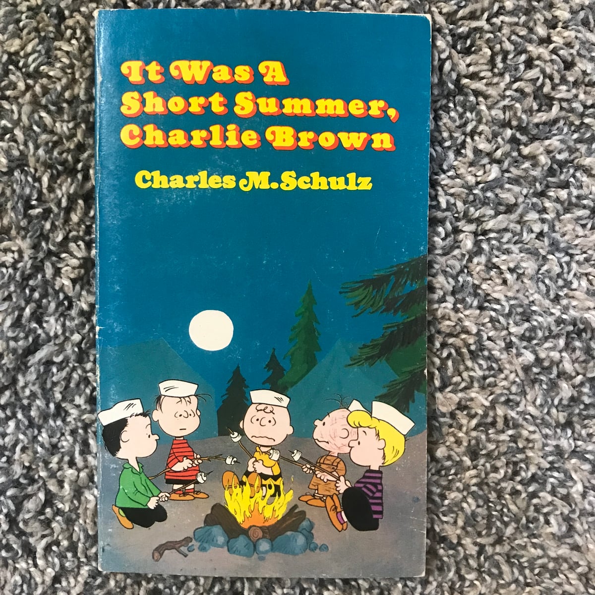 It Was a Short Summer, Charlie Brown by Charles Schulz