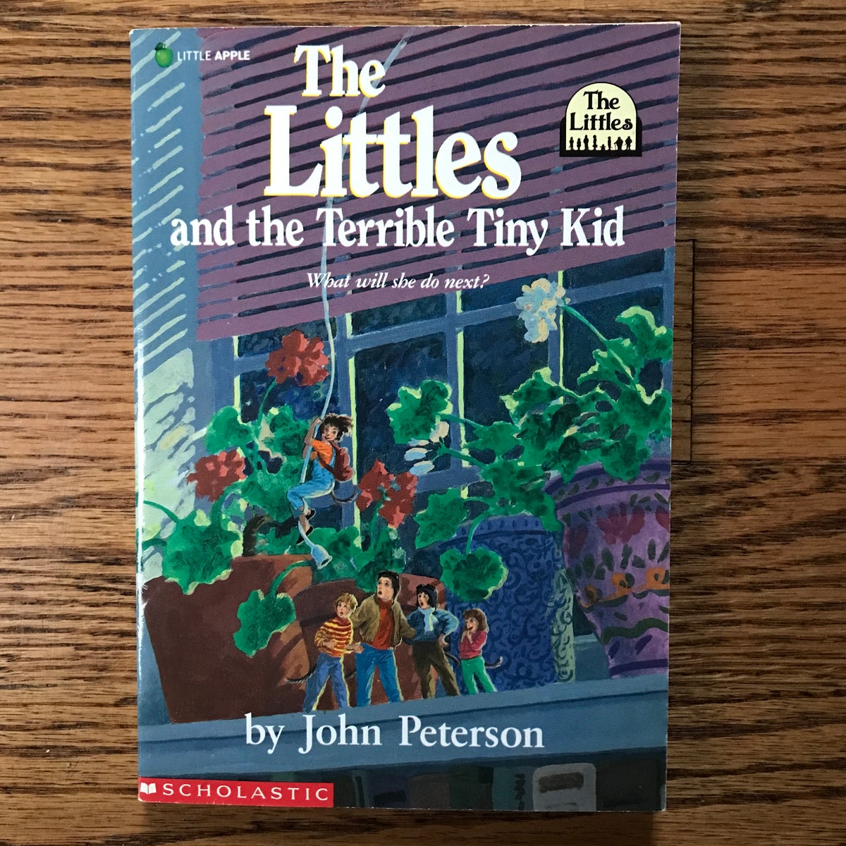 The Littles and the Terrible Tiny Kid by John Peterson, Paperback ...