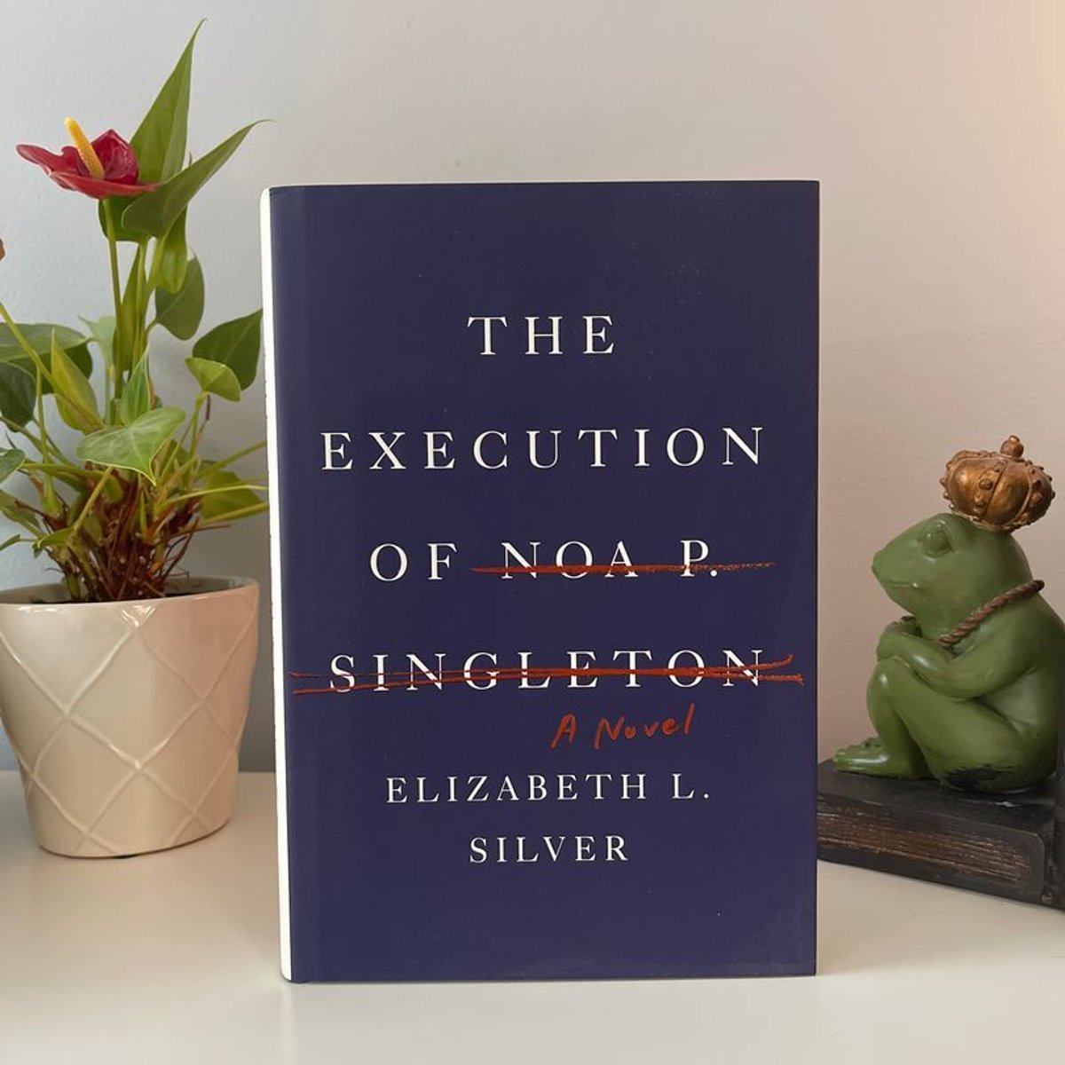 The Execution of Noa P. Singleton by Elizabeth L. Silver