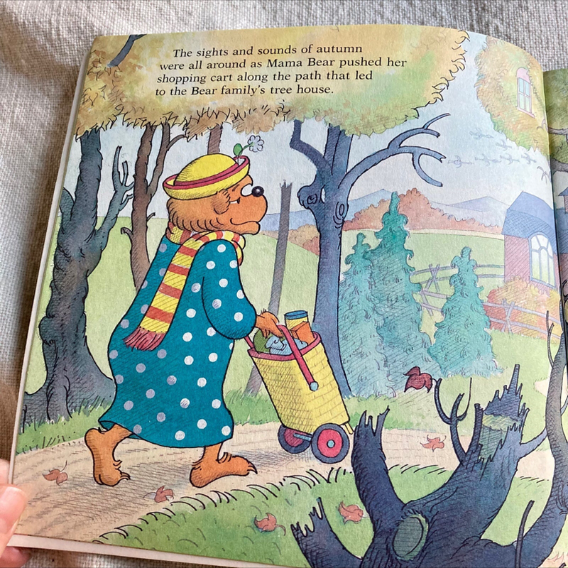 The Berenstain Bears Meet Santa Bear (Deluxe Edition)