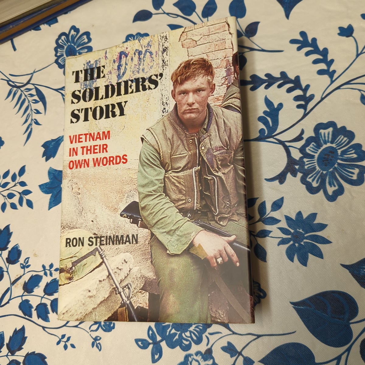 The Soldiers' Story by Ron Steinman