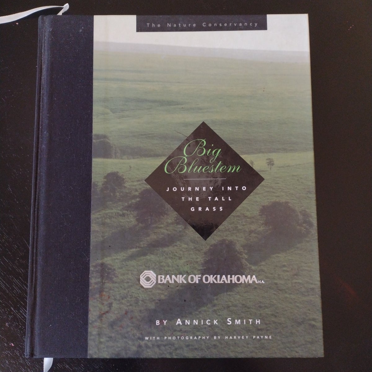 Big Bluestem by Annick Smith, Hardcover | Pangobooks