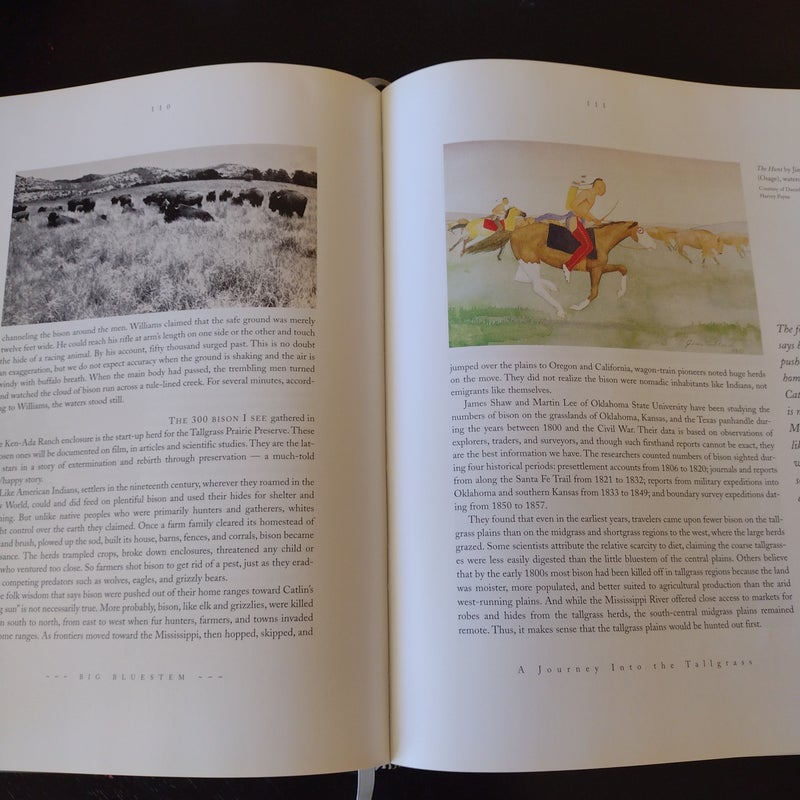 Big Bluestem by Annick Smith, Hardcover | Pangobooks