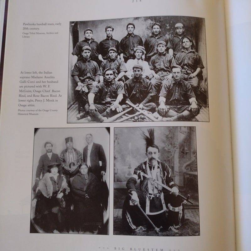 Big Bluestem by Annick Smith, Hardcover | Pangobooks