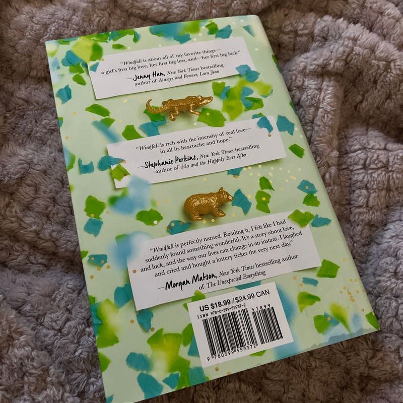 Windfall by Jennifer E. Smith, Hardcover | Pangobooks