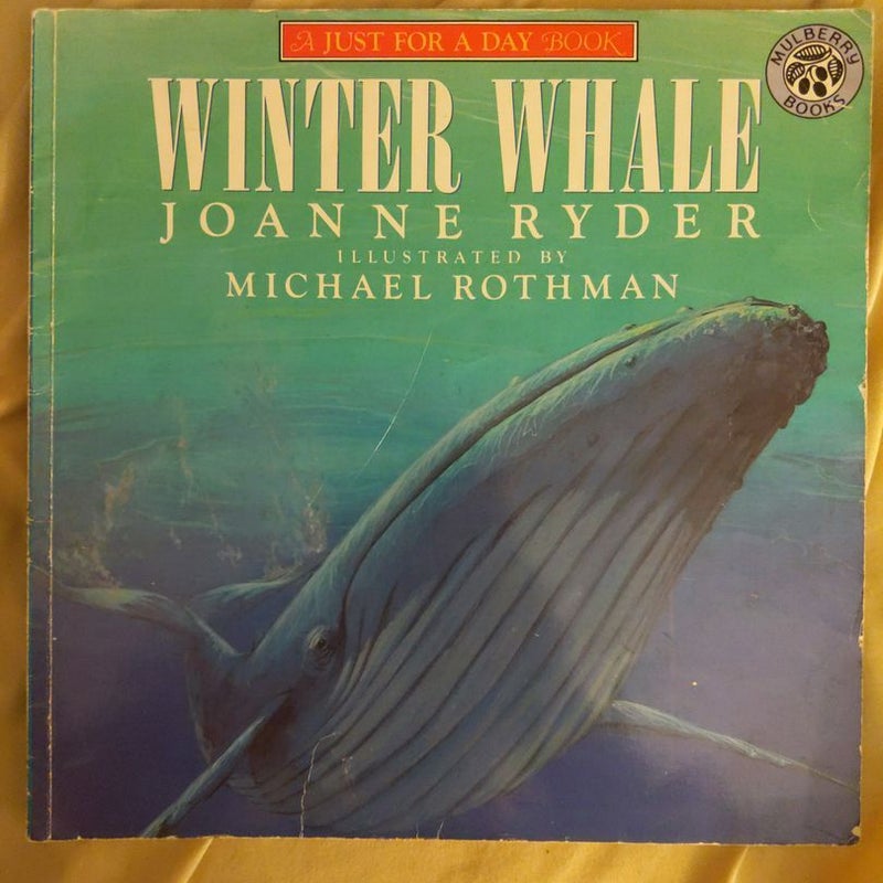 Winter Whale by Joanne Ryder, Hardcover | Pangobooks