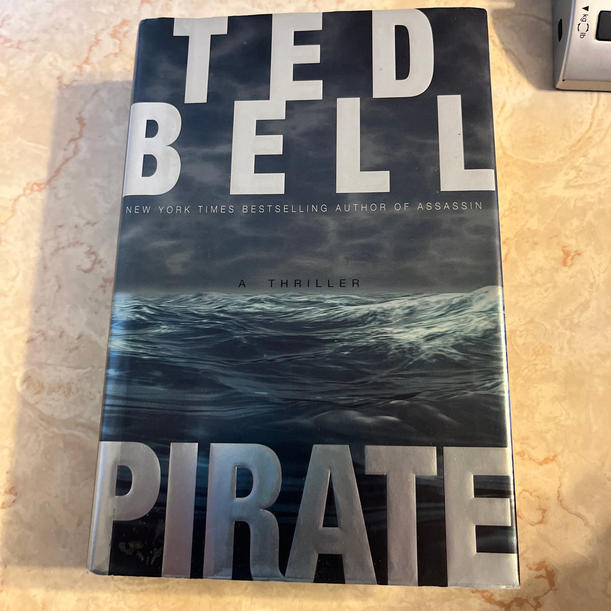 Pirate by Ted Bell
