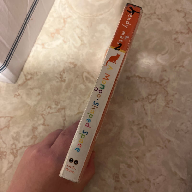 A Mango-Shaped Space by Wendy Mass