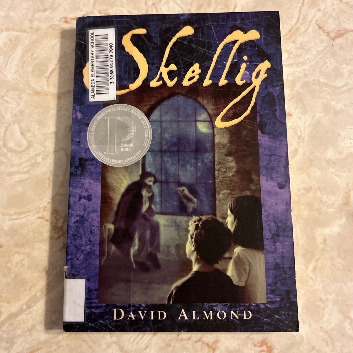 Skellig by David Almond